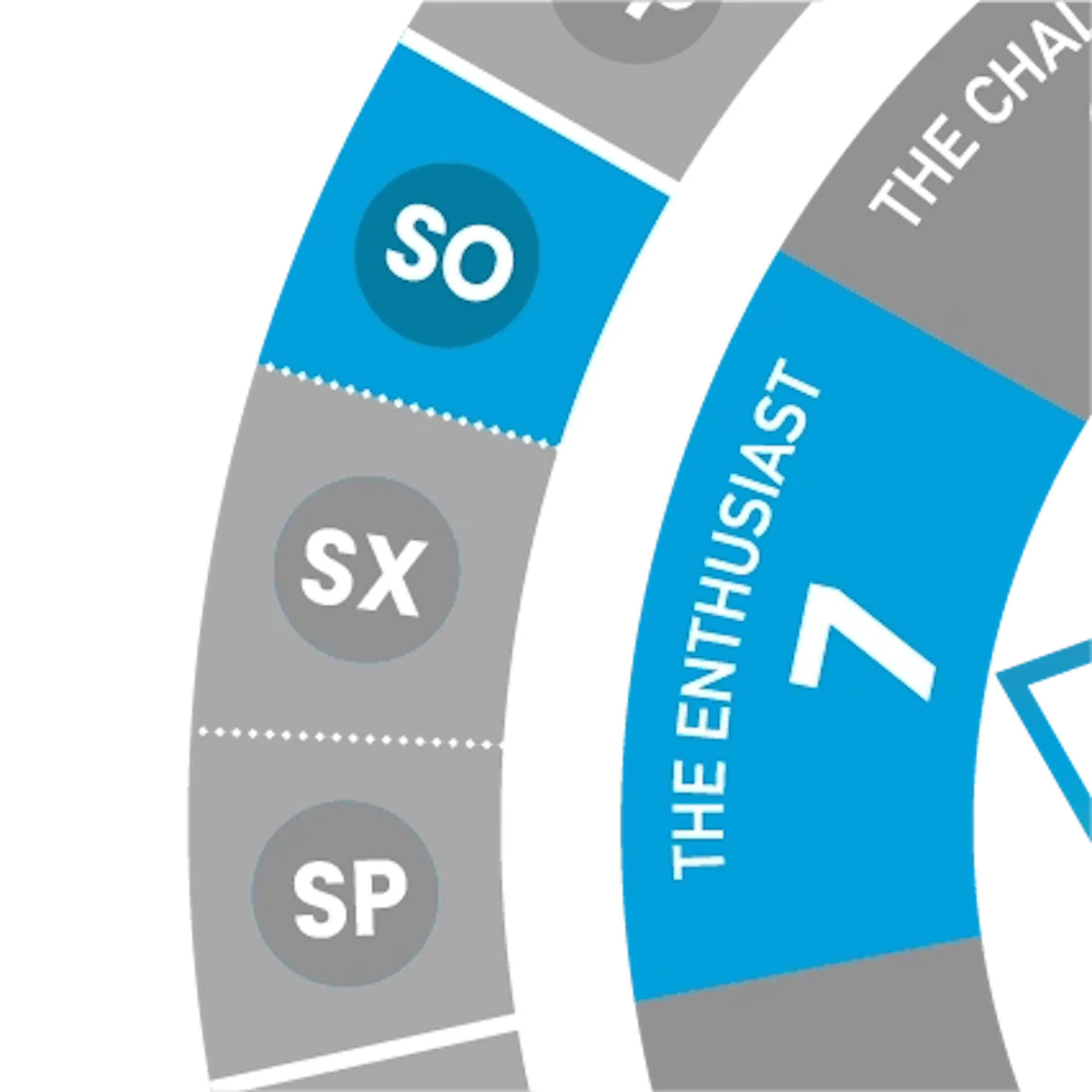 Subtype SO7 - The Navigating 3 for Business Leaders | Enneagramkeys.com