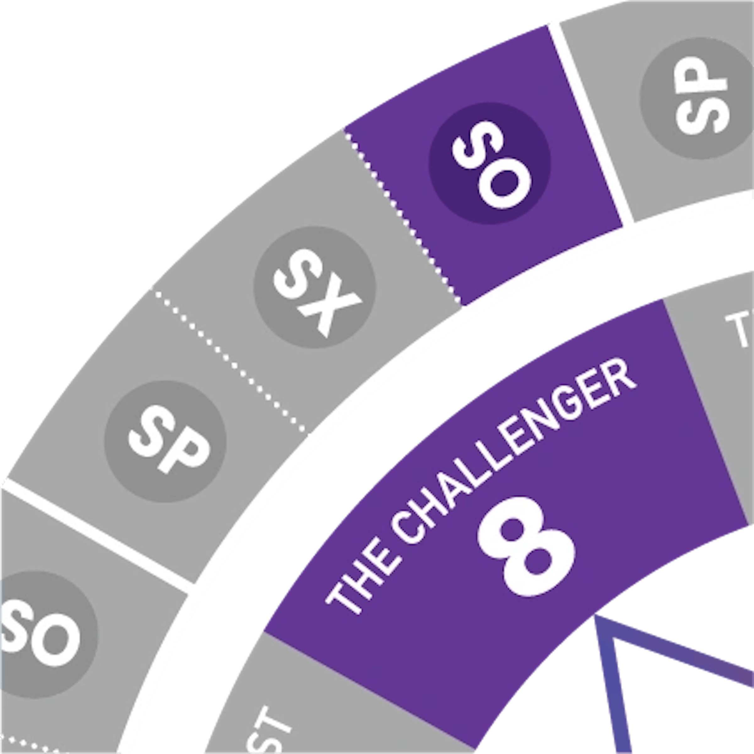 Subtype SO8 - The Navigating 8 for Business Leaders | Enneagramkeys.com
