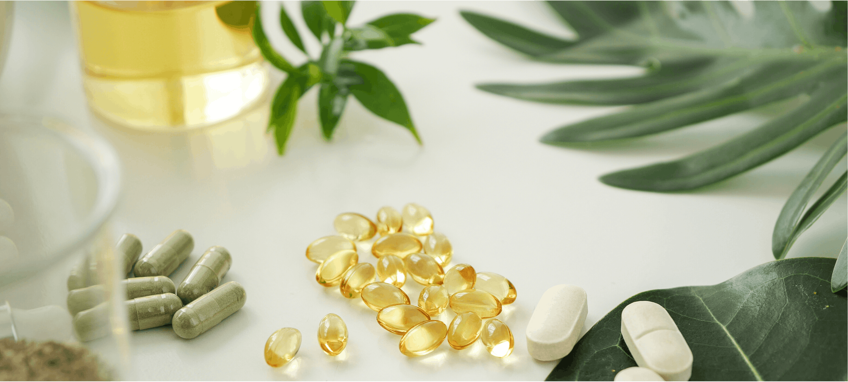 Free Food Supplement Information File Template