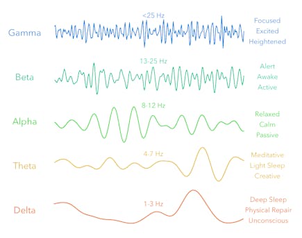 Article-All_About_Brainwaves