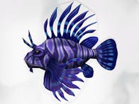 Sims 4 Fish Collection