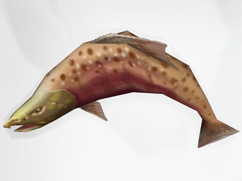 Sims 4 Fish Collection