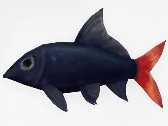 Sims 4 Fish Collection