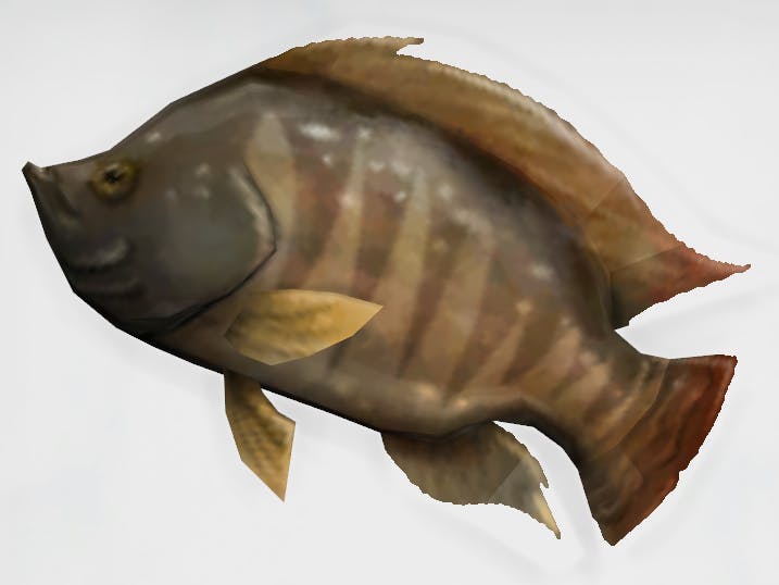 Sims 4 Fish Collection