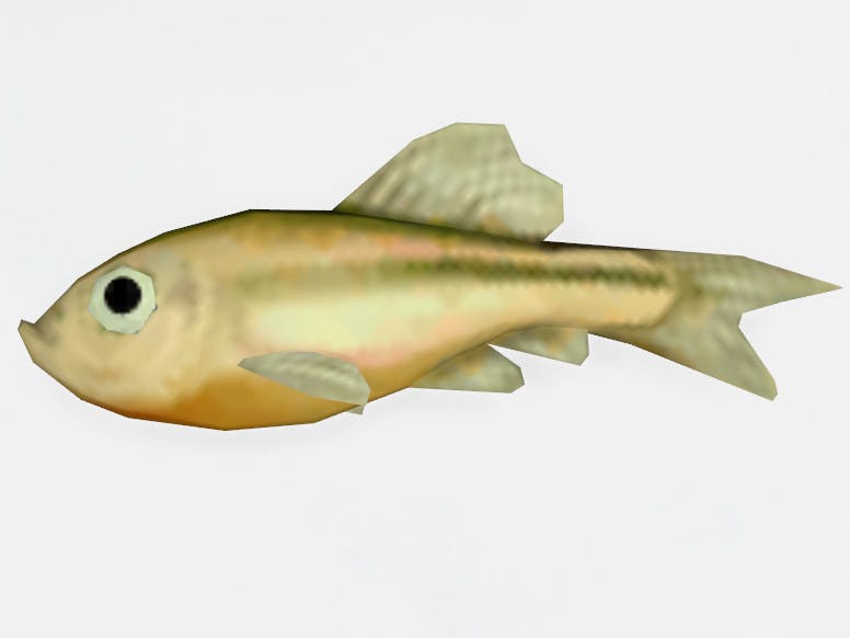 Sims 4 Fish Collection