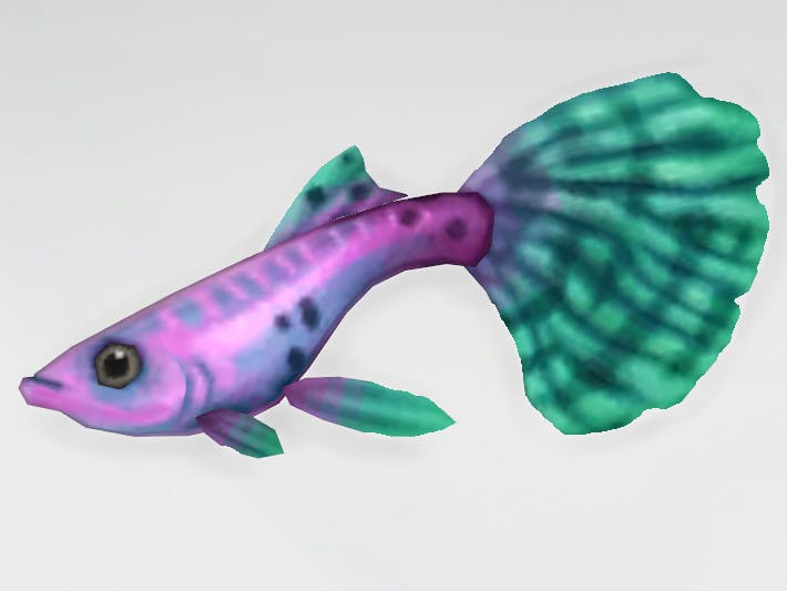 Sims 4 Fish Collection