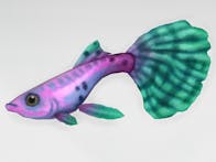 Sims 4 Fish Collection