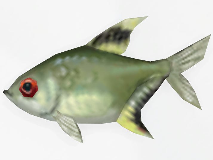 Sims 4 Fish Collection