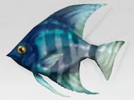 Sims 4 Fish Collection
