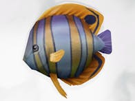 Sims 4 Fish Collection