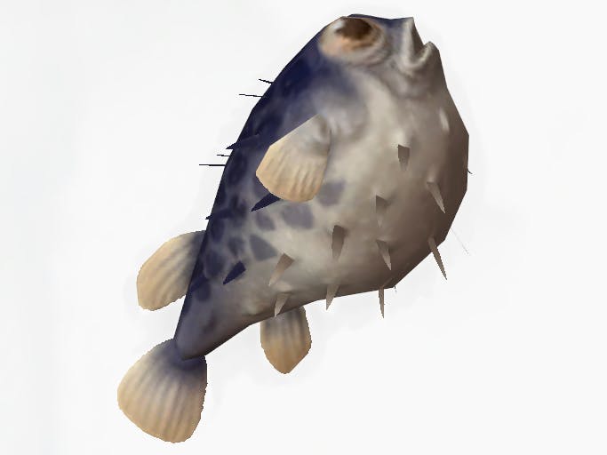 Sims 4 Fish Collection