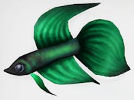 Sims 4 Fish Collection