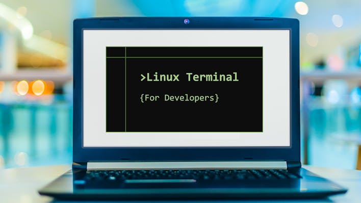 Complete Web Developer Course