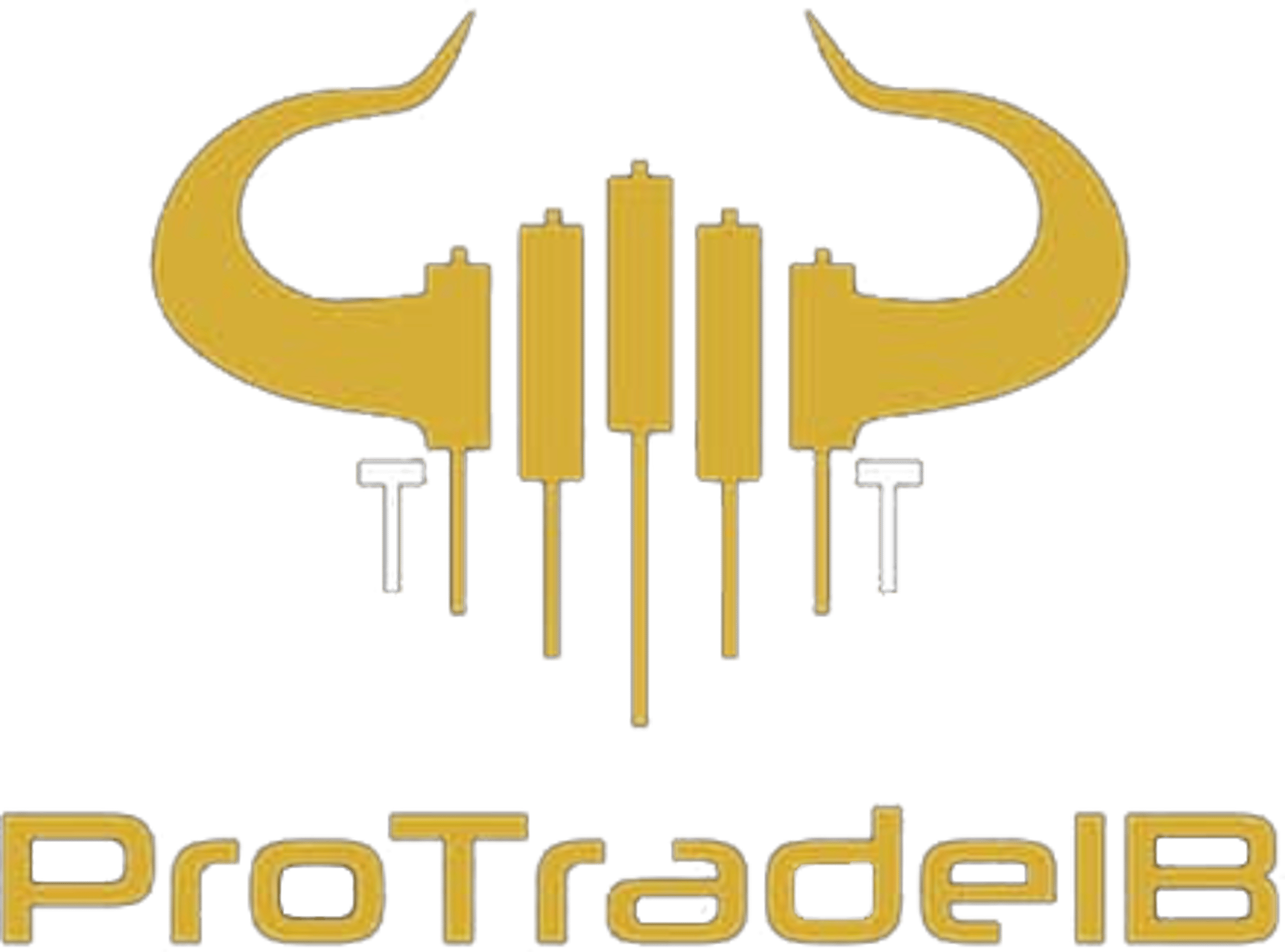 Pro TradeIB Info – Essential Information For Pro Traders