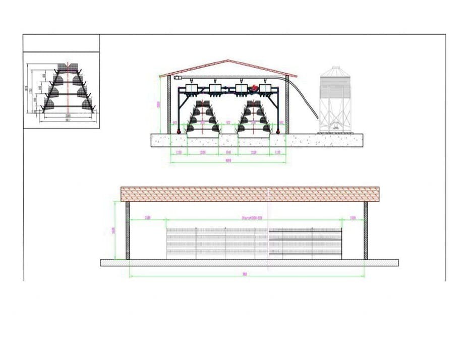 Design Plan for 5000 Chickens