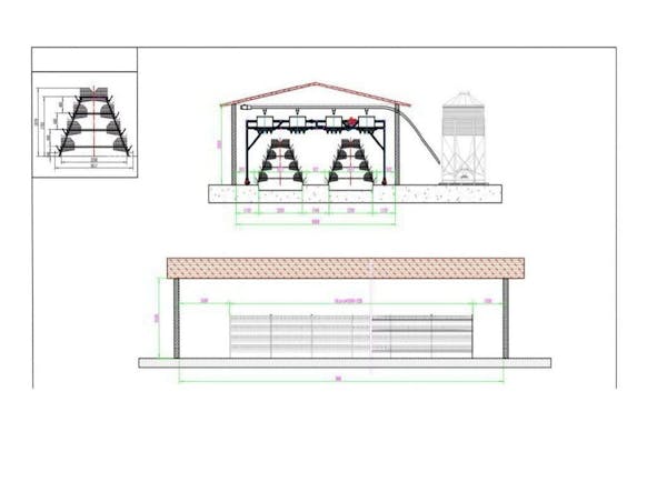 Design Plan for 5000 Chickens