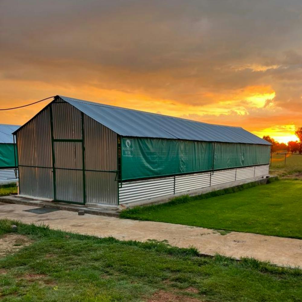 Broiler Combo - Optimal Solutions for Poultry Farming
