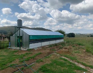 Complete Layer House Combo