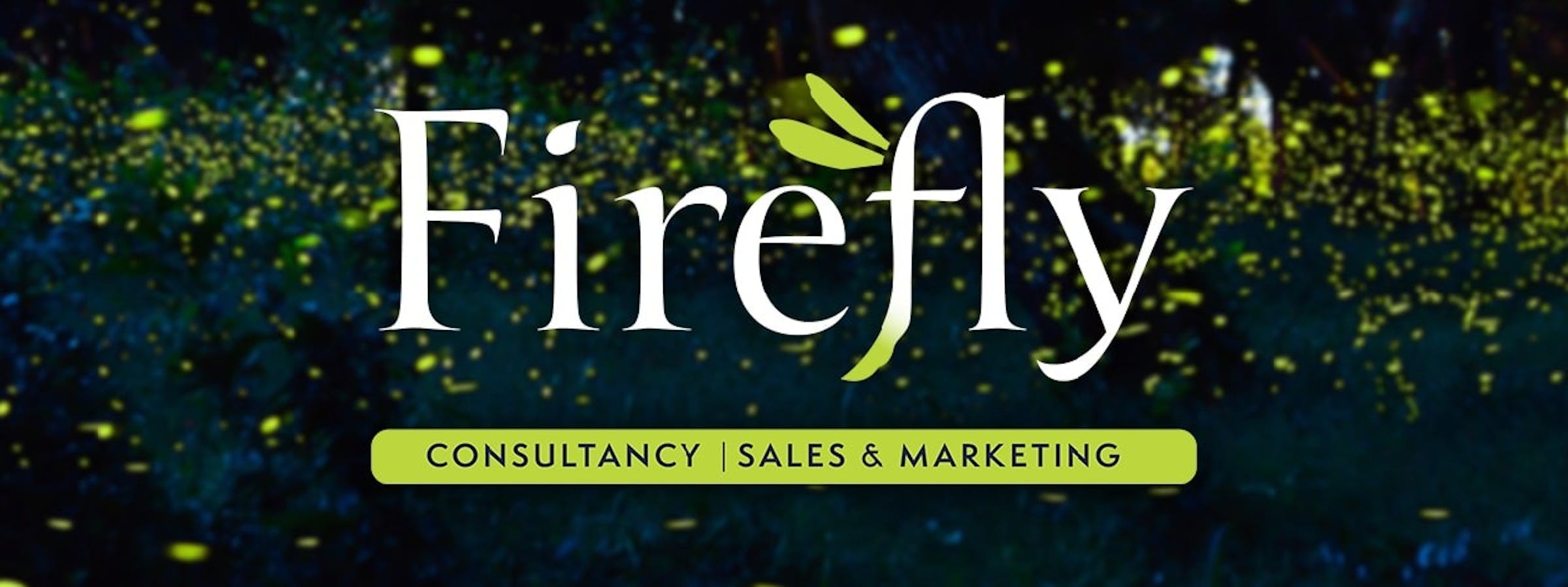Sales & Marketing | The Firefly Consultancy