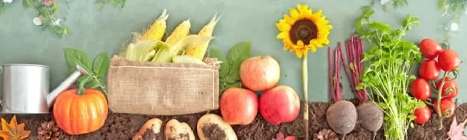 KNOWING WHY WE EAT: UNDERSTANDING THE FACTORS INFLUENCING FOOD CHOICES