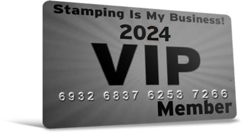 The 2024 SIMB VIP Program